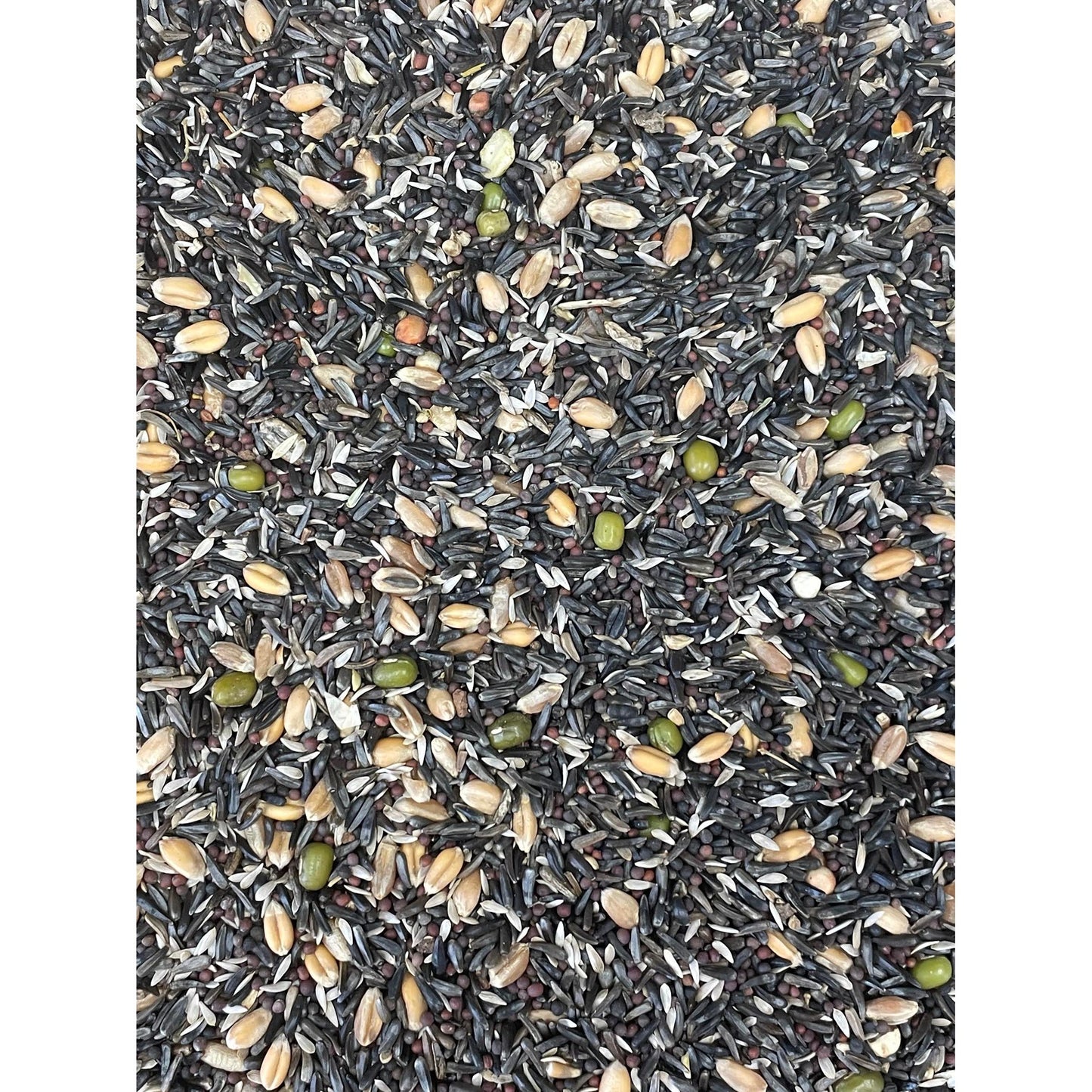 European Germination/Soak seed mix 1kg/2.2lbs – Aves Canada