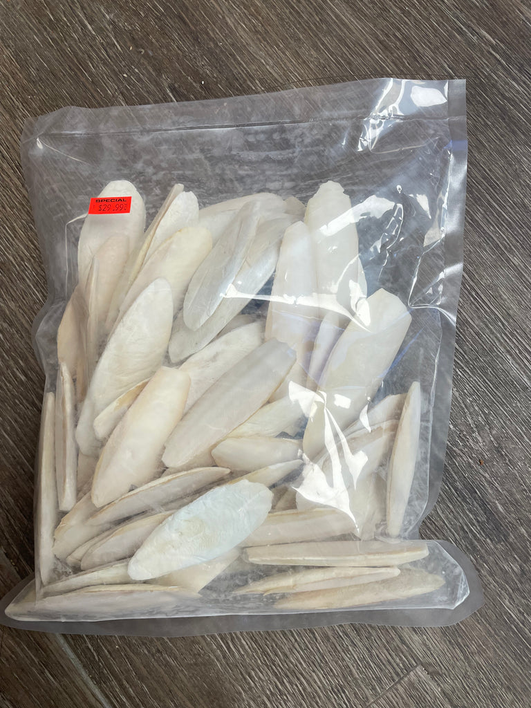 Cuttlebone | Aves Canada