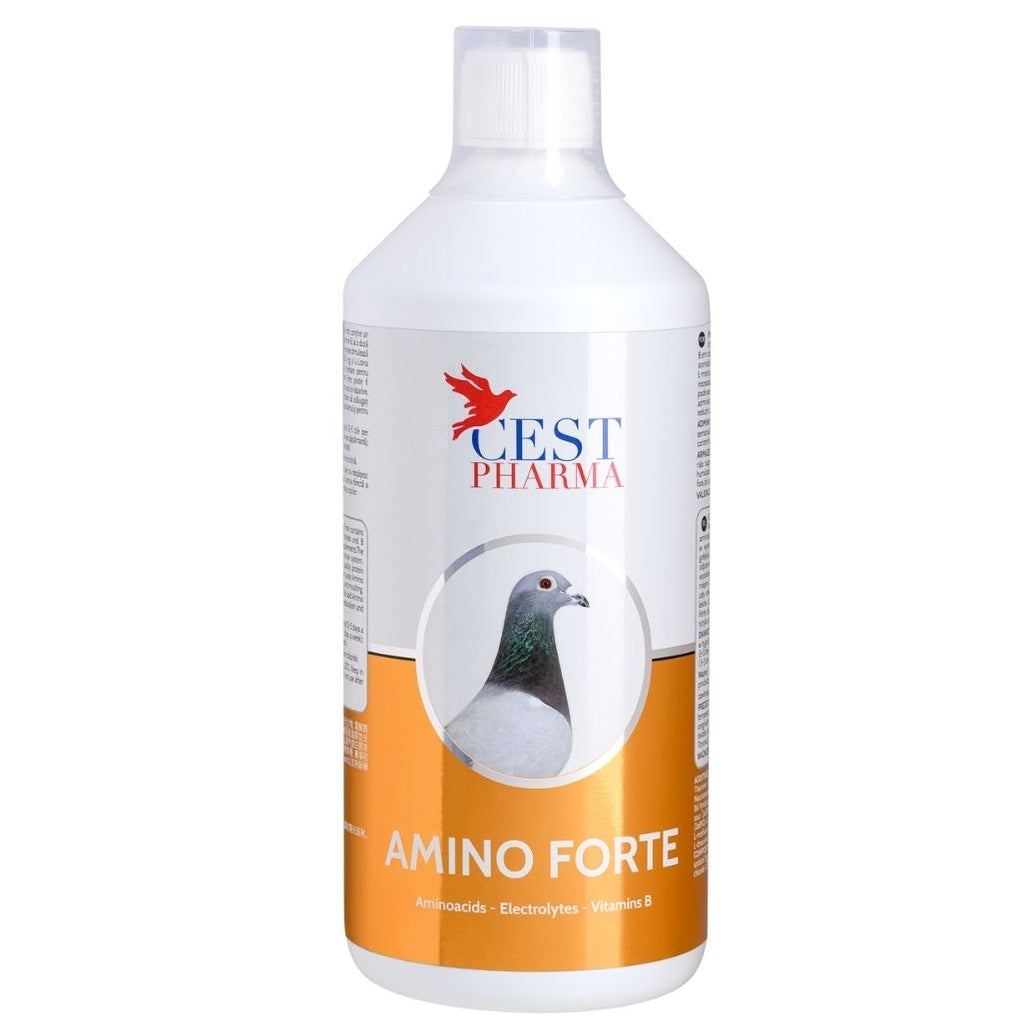 AMINO FORTE 1Litre — Aves Canada