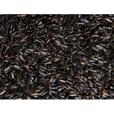 NYJER SEEDS HIGH GERMINATION 3lbs | Aves Canada