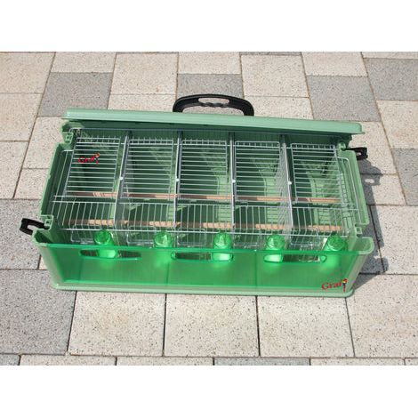 Transport Box with 5 compartments | Aves Canada