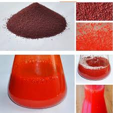 Carophyll Red 100g – Aves Canada
